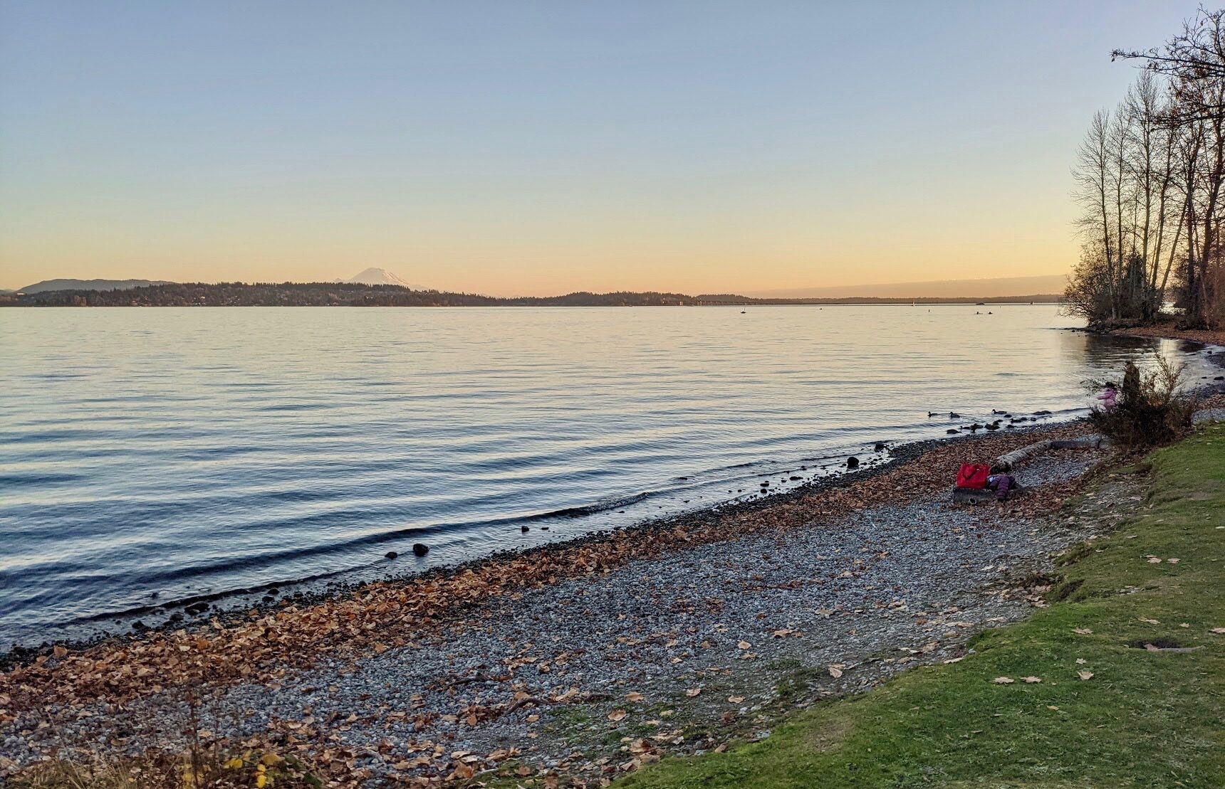 Magnuson Park, northeast Seattle's place to hike and play