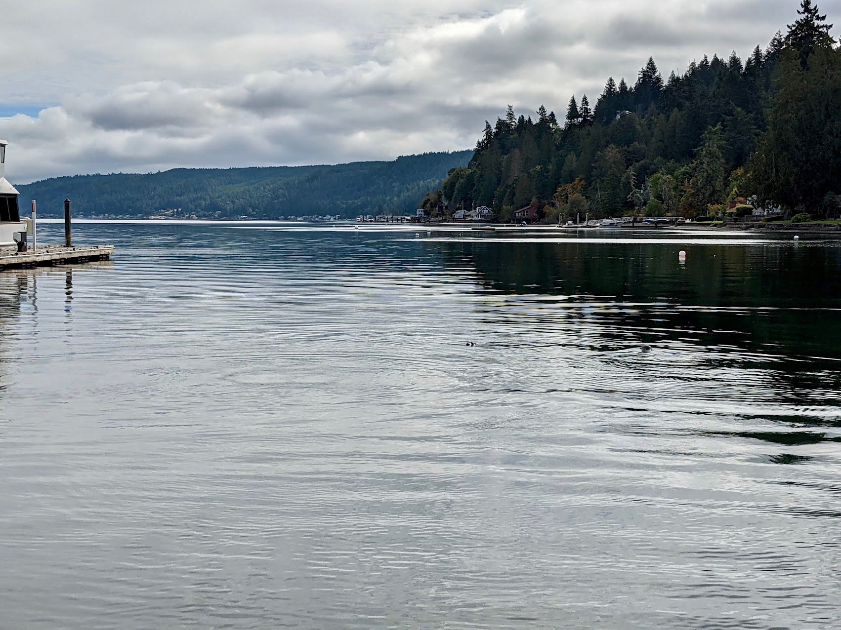 Alderbrook Resort & Union: Exploring Hood Canal, Washington