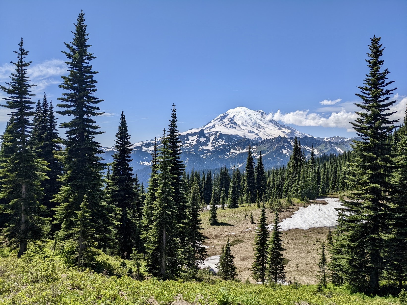 Naches Peak Loop Trail: Best Day Hiking at Mount Rainier