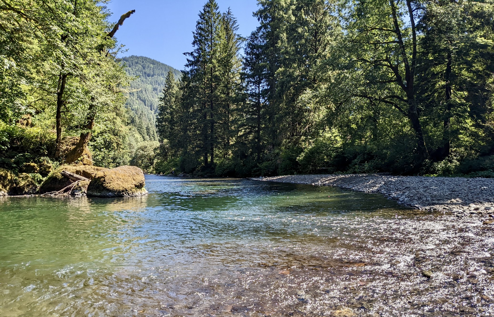 Kilchis River County Campground near Tillamook, Oregon