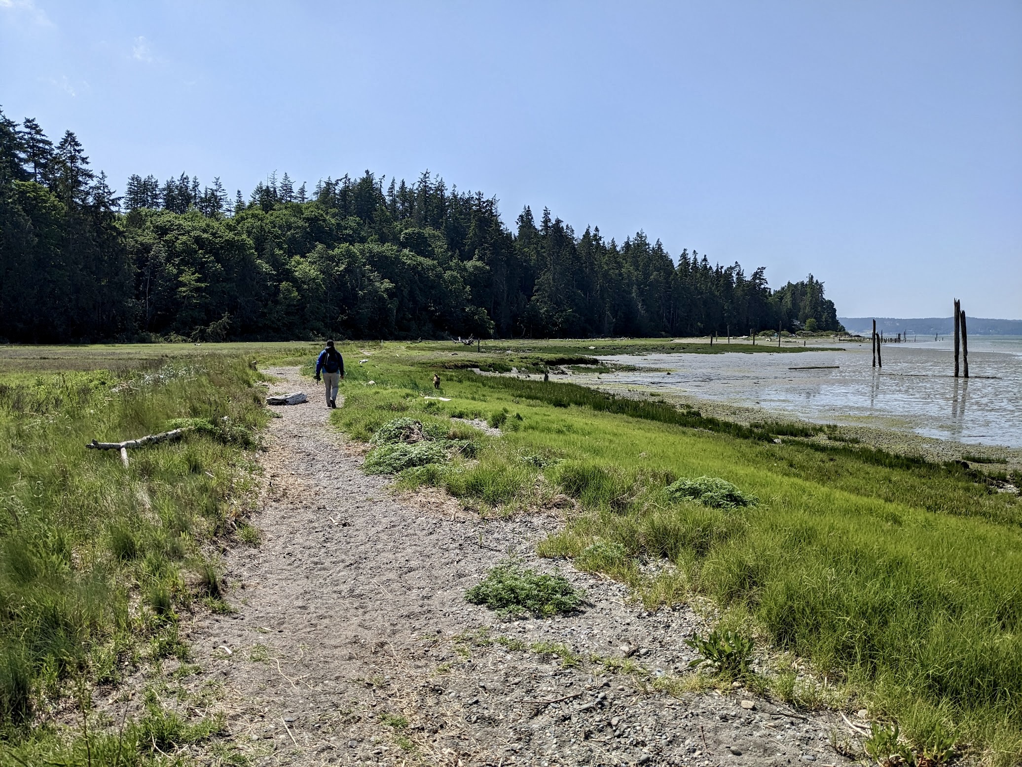 English Boom Trail County Park on Camano Island, Washington